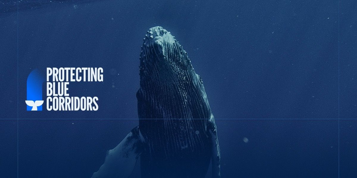 Protecting Blue Corridors — Data Sources